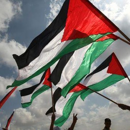 M.O./ Ginevra, Consiglio Onu approva rapporto di condanna Israele - apcom