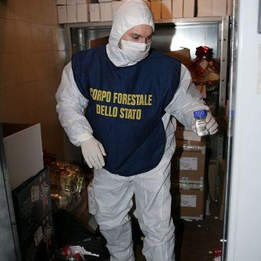 Alimenti/Forestale blocca 2mila confezioni di propoli contaminate - apcom