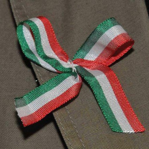 Unità Italia/ Via a conversione decreto in Senato,domani in Aula - apcom