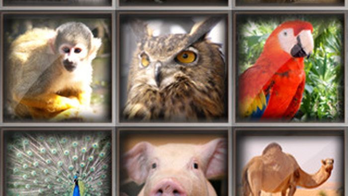 Tutti i suoni animali disponibili sul web - Rubriche Ambiente