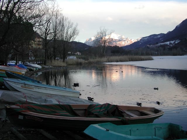 Allarme a Carlazzo per il lago Il canneto se lo sta divorando - Homepage