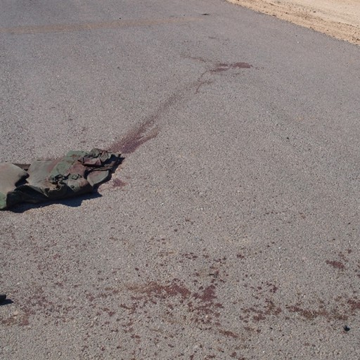 Libia: quasi 50 morti in 24 ore - Europa