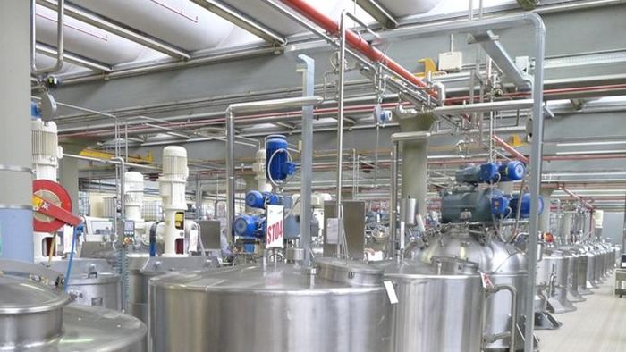 Cosmint, da lunedì le prime 15 assunzioni - Economia