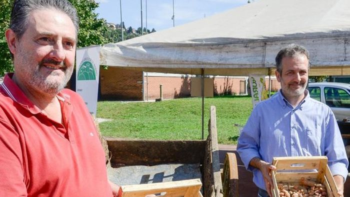 A Rural Expo a Maslianico Cucina, patate e bonsai - Cronaca