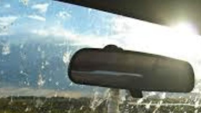 Gli insetti si estinguono Spariti i moscerini dai parabrezza - Cronaca