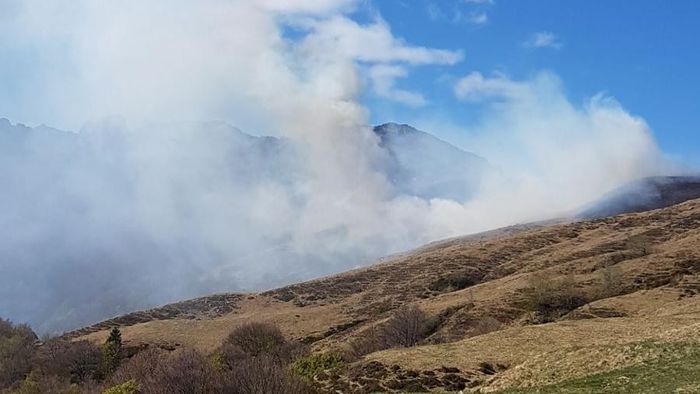 Val Rezzo, pascolo in fiamme Piromani ancora in azione - Cronaca