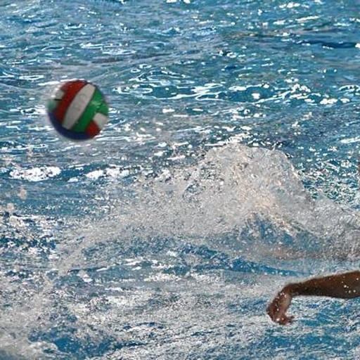 La Como Nuoto si gioca l’A2 Pallanuoto Como: vincere e basta - Sport
