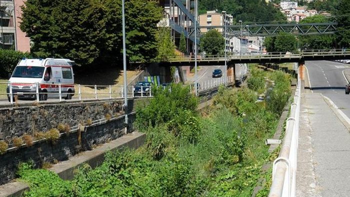 Sembra una foresta, ma è il Cosia «Così si rischiano esondazioni» - Cronaca