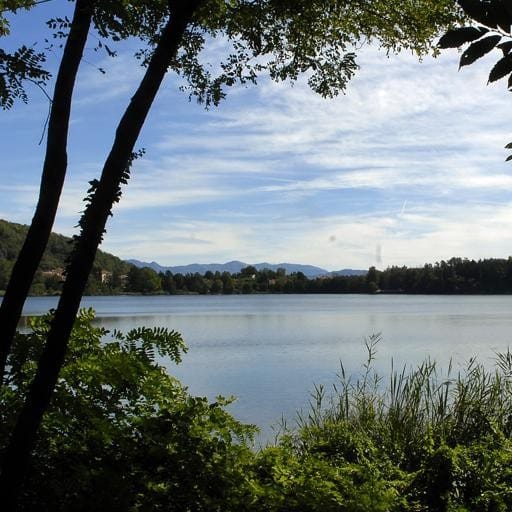 Montorfano, piano per far respirare il lago Taglio del canneto e nuove ...