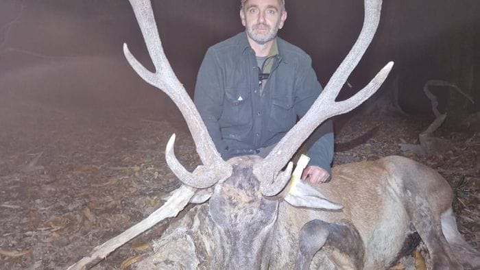 Partita (in ritardo) la caccia al cervo. In due giorni trenta abbattimenti