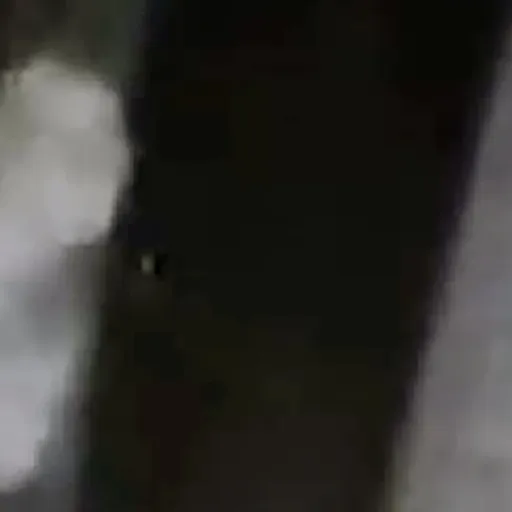 Rabbia dopo i furti: «Leggi più severe, anche sui tentativi»