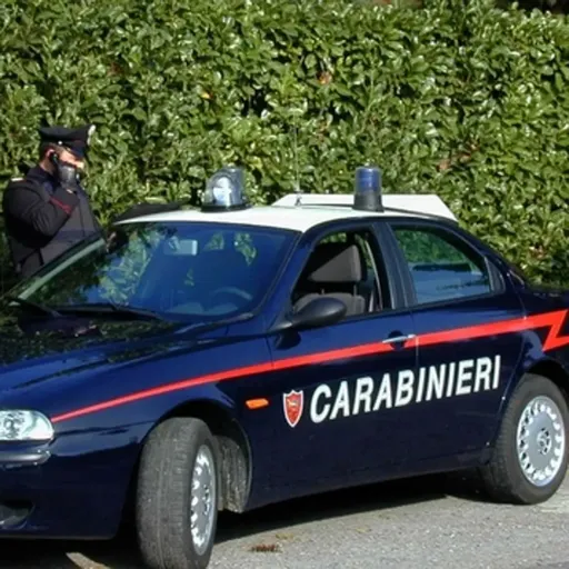 Rapina al bar di primo mattino In tre armati per pochi euro - Cronaca