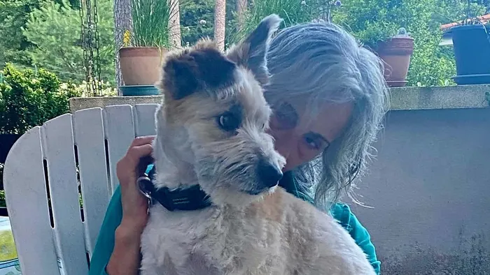 Il cane Smile ha messo in fuga i ladri: «Li ha sentiti in stanza e ha ...