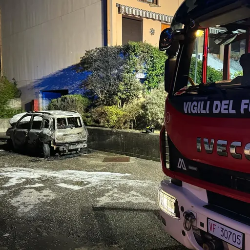 «Sono terrorizzata»: atto intimidatorio dietro il rogo delle auto