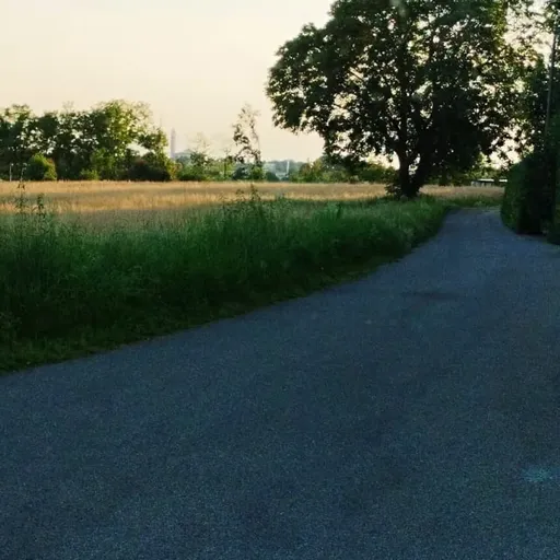 «Macché volontari, solo truffatori»