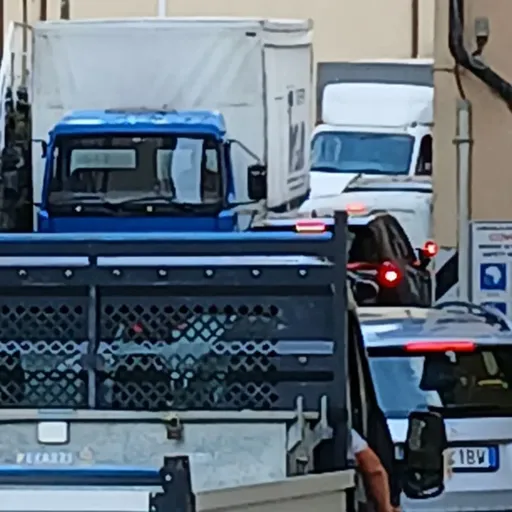 Caos Regina e Variante: decolla la raccolta di firme - Cronaca, Griante