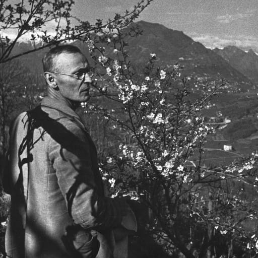 Battellata letteraria per l’80° del Nobel di Hermann Hesse - Cultura e ...