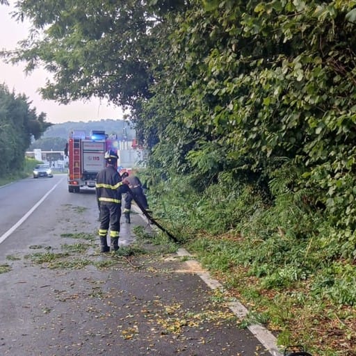Temporale notturno sul Comasco: vigili del fuoco impegnati con rami e ...